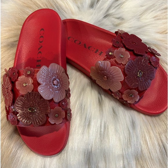 Coach | Shoes | Coach Slides | Poshmark